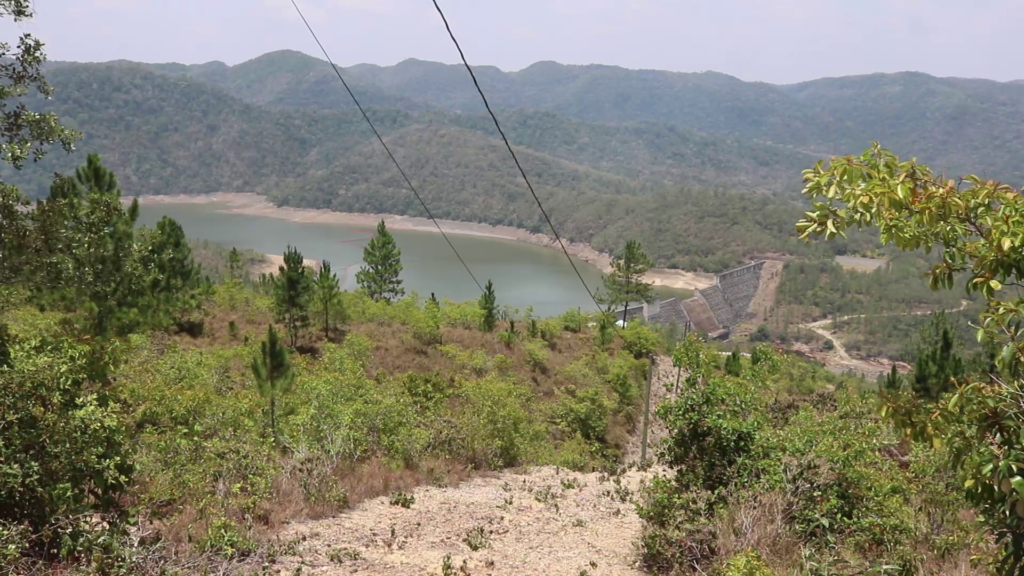 Saving Belize’s Largest Forest Reserve from Fires | Greater Belize Media