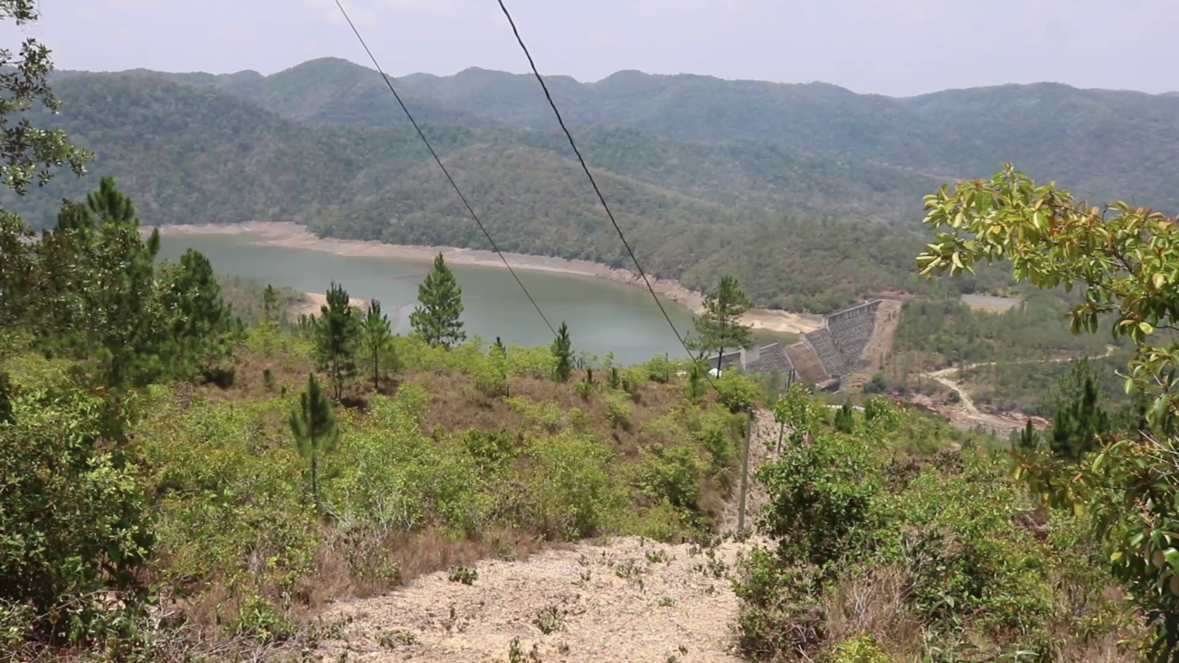 Saving Belize’s Largest Forest Reserve from Fires | Greater Belize Media