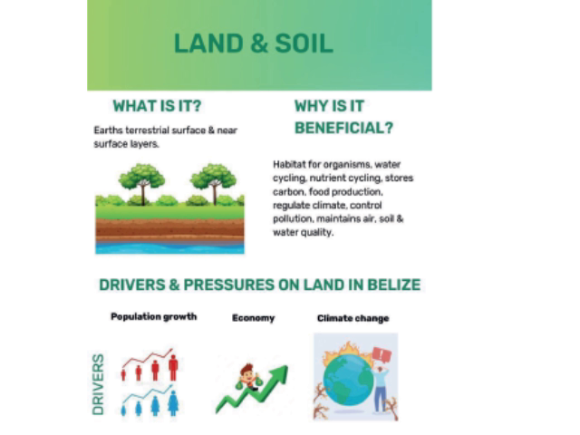 Belize Completes Snapshot Report on State of Environment | Greater ...