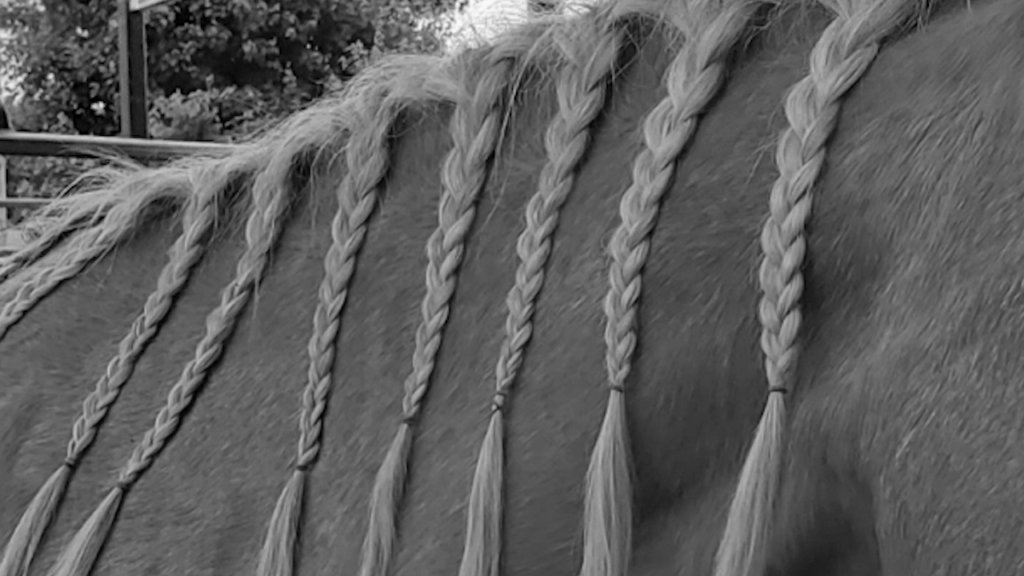 Tata Duende, The Old Man Who Protects the Forest | Greater Belize Media