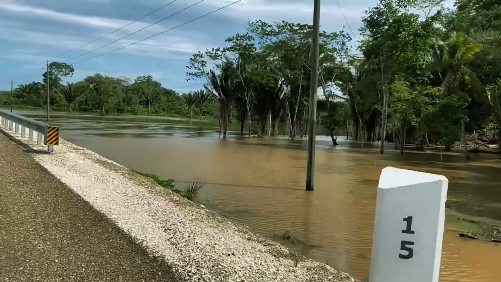 Important Forest Corridor In Belize Facing Increasing Deforestation ...