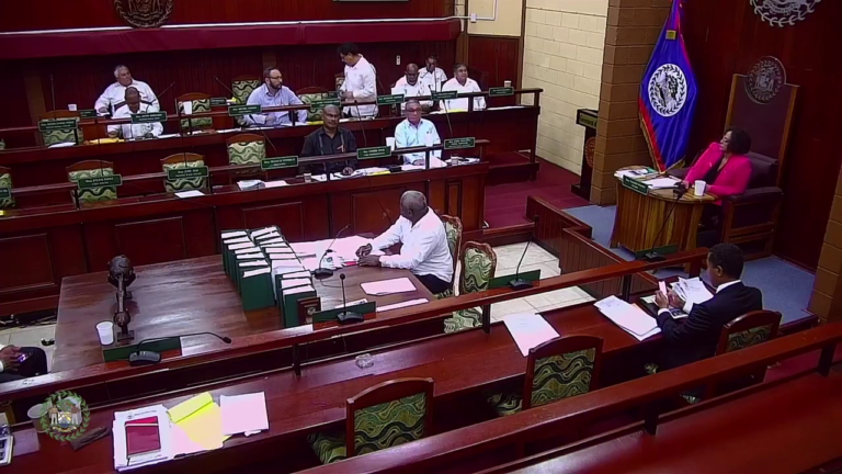 The Legislature and Nation Building in Belize | Greater Belize Media