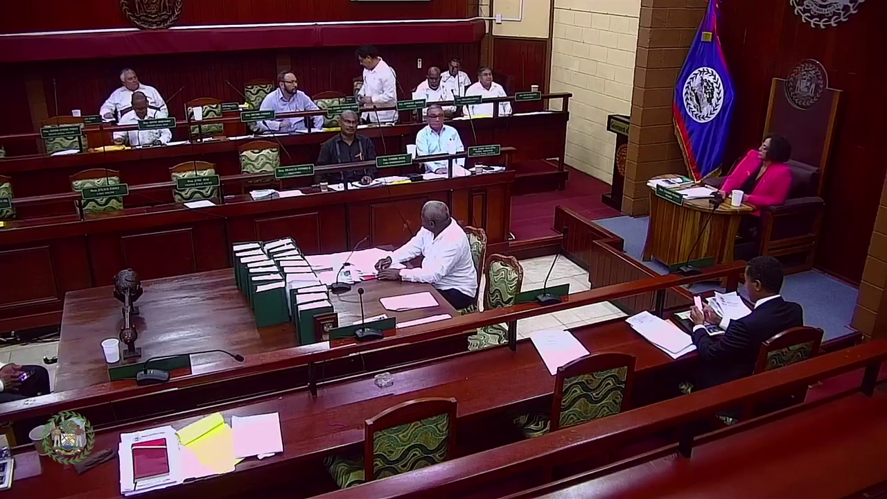 The Legislature and Nation Building in Belize | Greater Belize Media