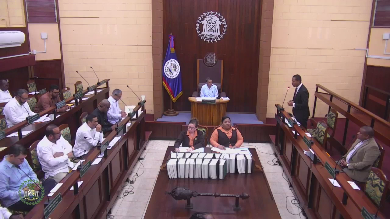 The Legislature and Nation Building in Belize | Greater Belize Media