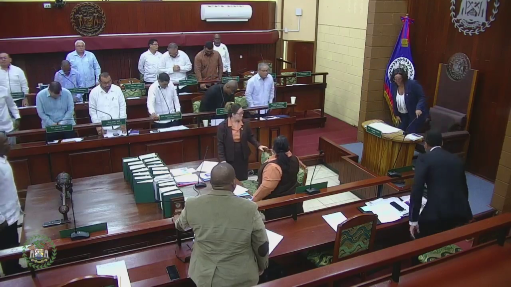 The Legislature and Nation Building in Belize | Greater Belize Media