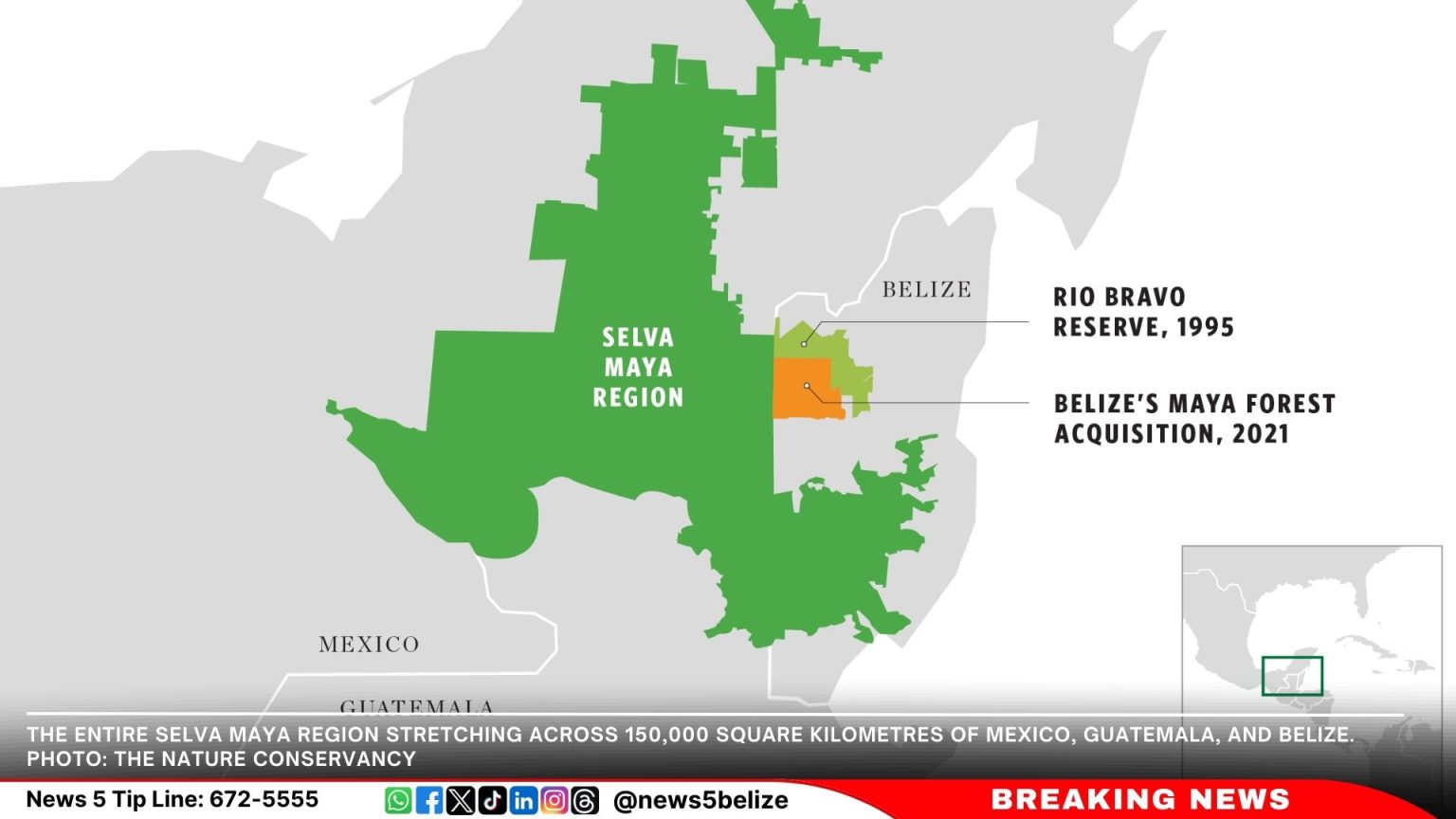 What’s Causing Deforestation in Belize’s Selva Maya Rainforest ...