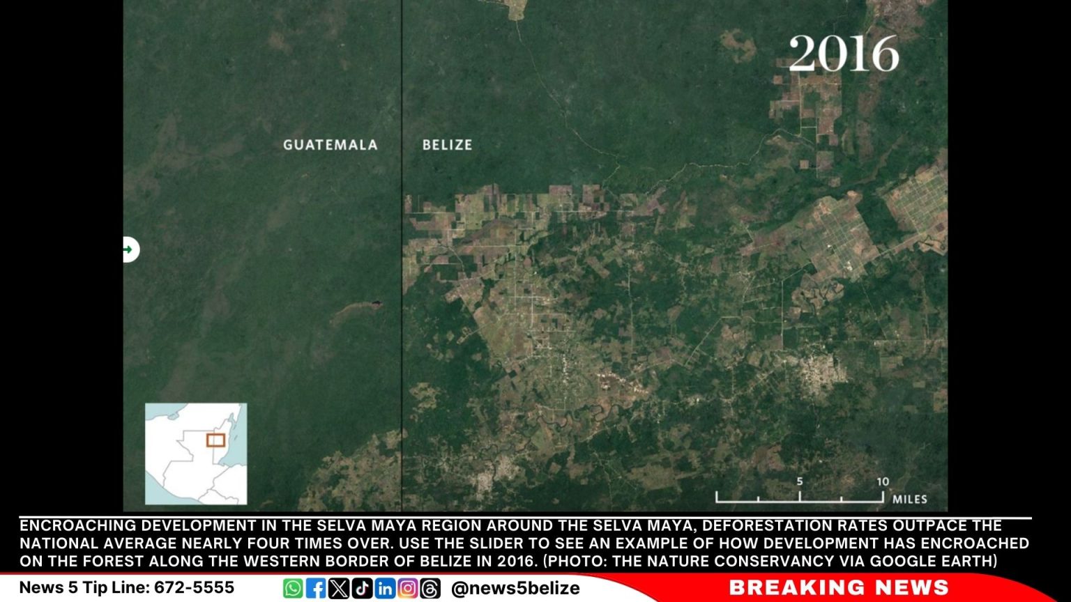 What’s Causing Deforestation in Belize’s Selva Maya Rainforest ...