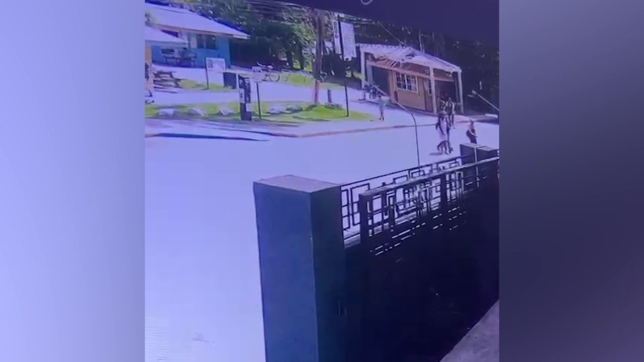 Surveillance Footage Shows Gabriel Orellano’s Last Moments | Greater ...