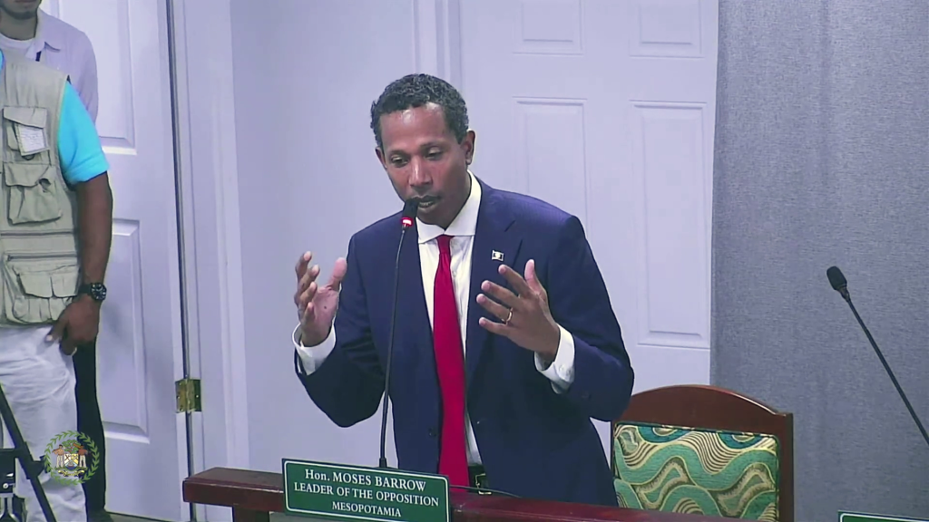G.O.B. Regulates Manufacturing of National Symbols | Greater Belize Media