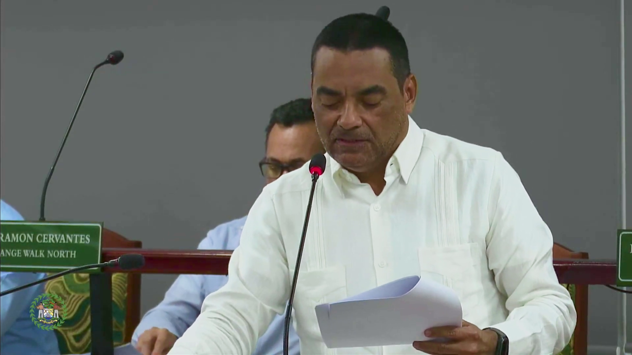 G.O.B. Regulates Manufacturing of National Symbols | Greater Belize Media