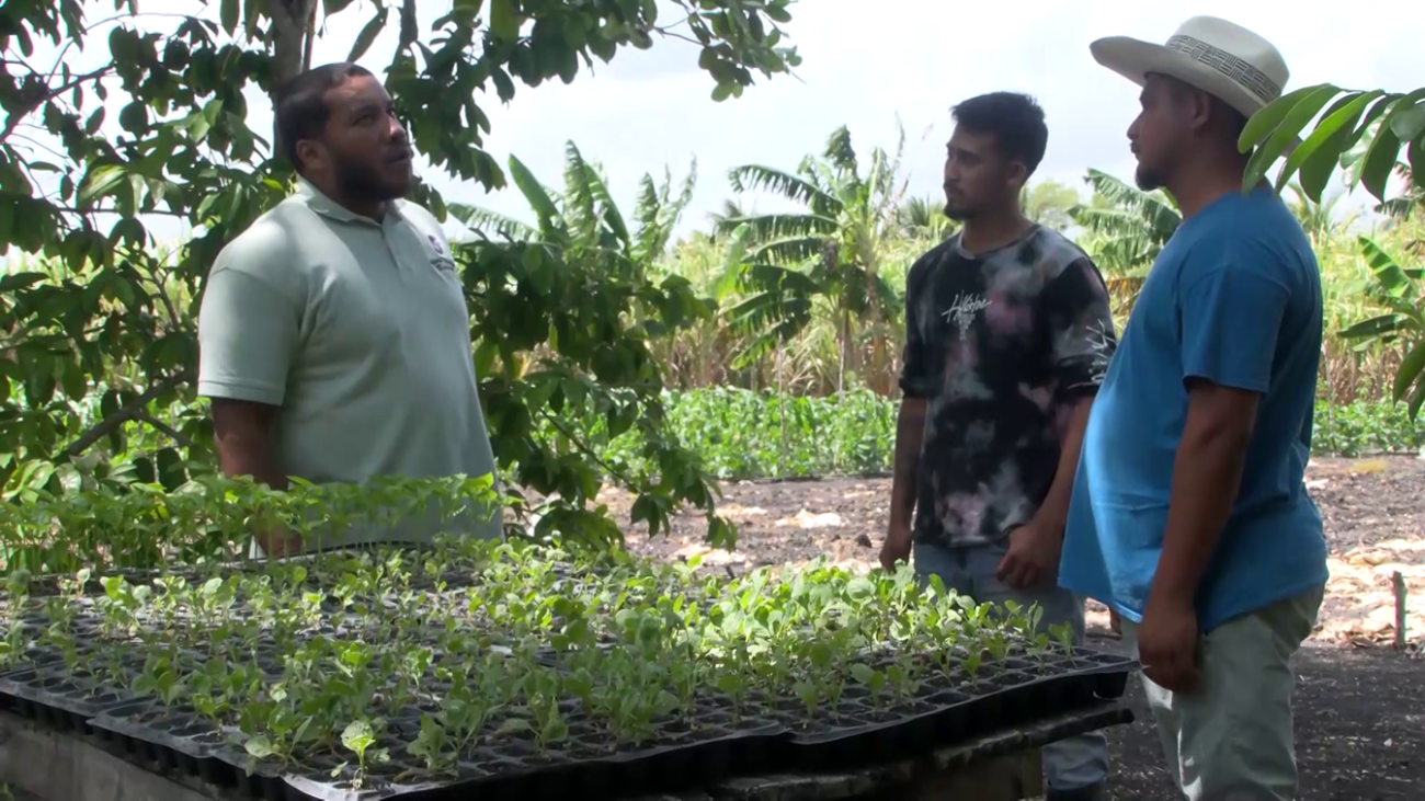 Meet Juan Carillo, Belize’s 2025 Junior Farmer of the Year | Greater ...
