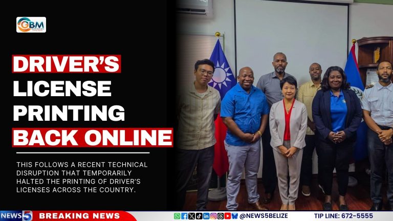 Driver’s License Printing Back Online | Greater Belize Media