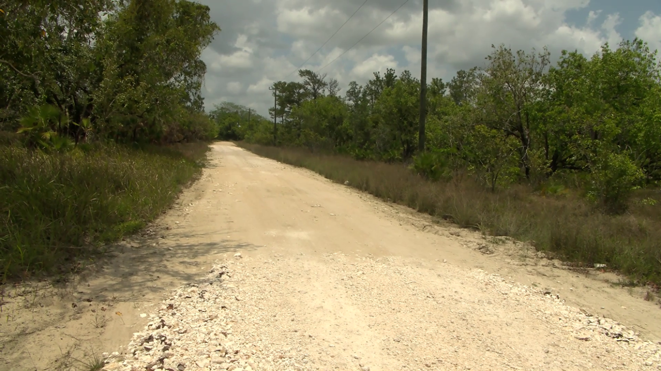 Morning Walk Turns Deadly in Double Head Cabbage Village | Greater ...