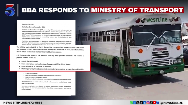 Belize’s Big Bus Plan Under Fire: Vision Without a Viable Roadmap ...