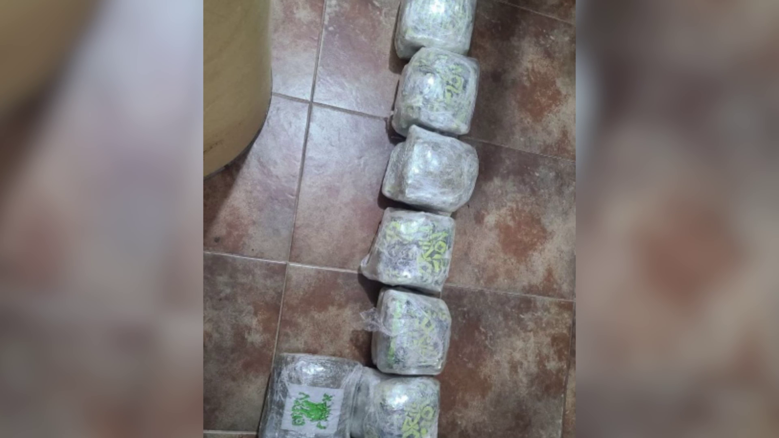 Unemployed Woman Caught in $70K Drug Bust | Greater Belize Media