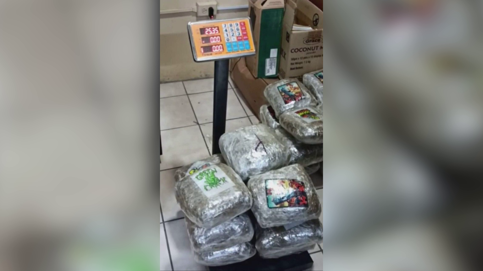 Unemployed Woman Caught in $70K Drug Bust | Greater Belize Media