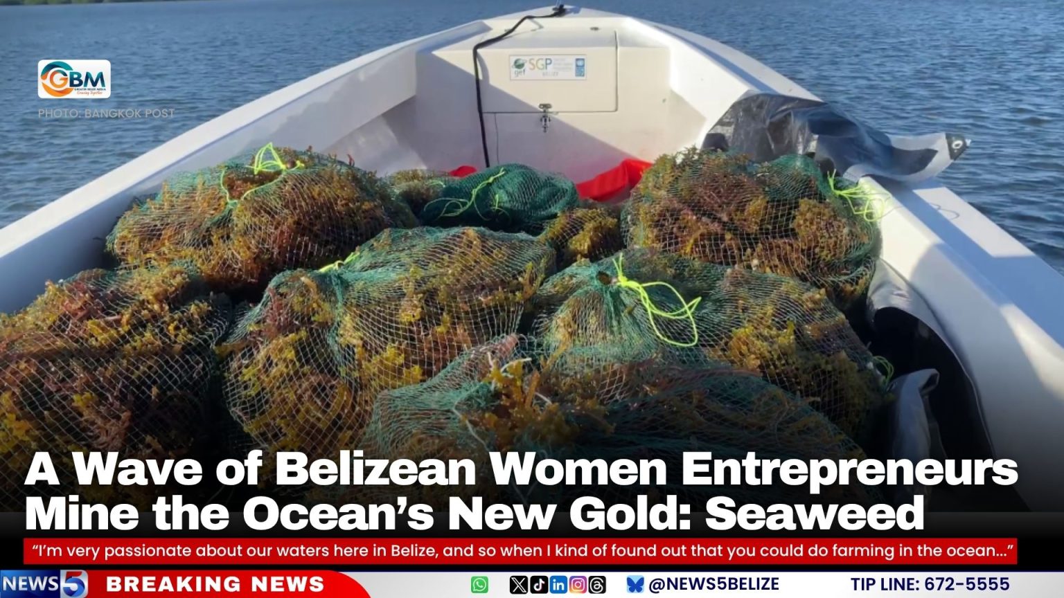 A Wave of Belizean Women Entrepreneurs Mine the Ocean’s New Gold ...