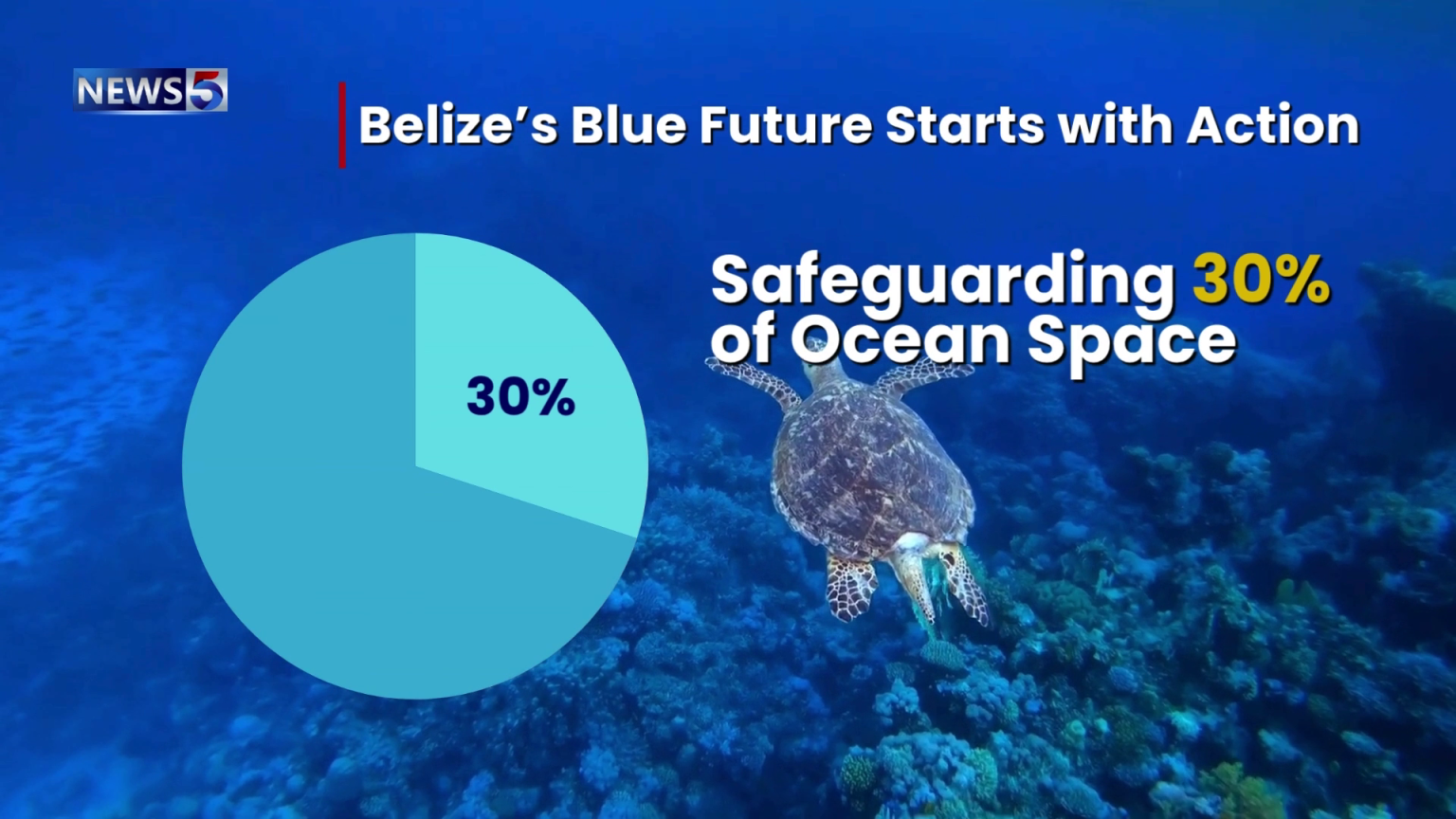 Belize Makes Waves in Ocean Protection, But Is It Enough? | Greater ...