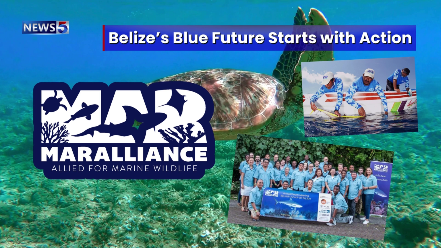 Belize Makes Waves in Ocean Protection, But Is It Enough? | Greater ...
