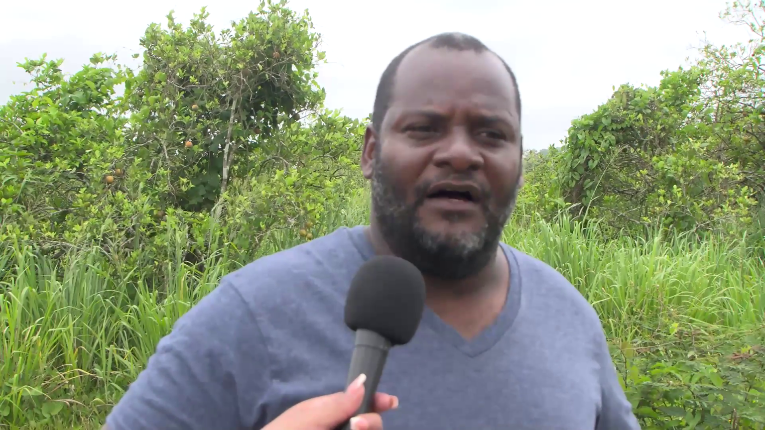 Pomona Farmers Clash with Area Rep Over Land Rights | Greater Belize Media