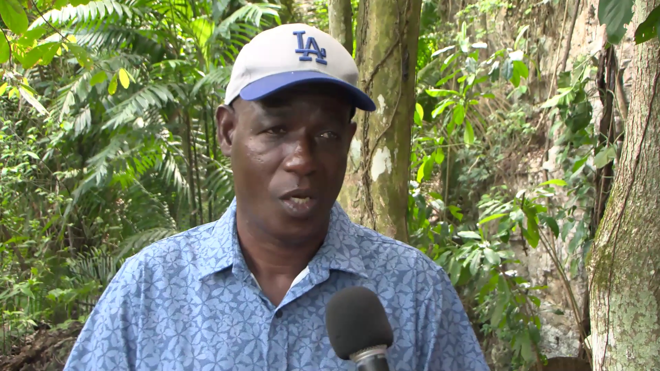 Pomona Land Dispute Who Owns This Land? | Greater Belize Media