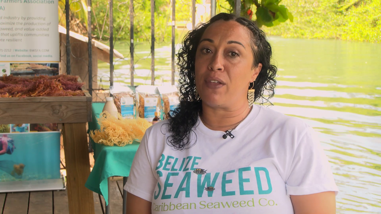 Seaweed Sisterhood: Belizean Women Lead a Blue Revolution | Greater ...