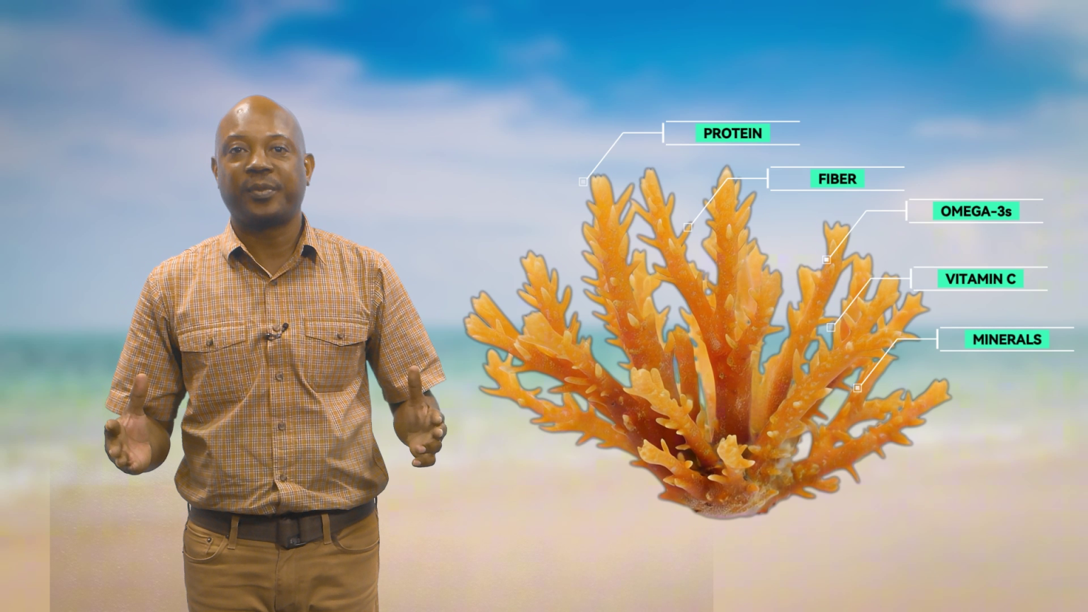 Seaweed Sisterhood: Belizean Women Lead a Blue Revolution | Greater ...