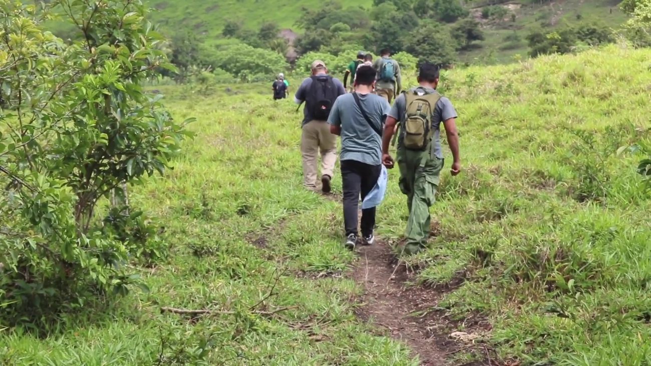 Narco Ranches Push Into Belize Forests | Greater Belize Media