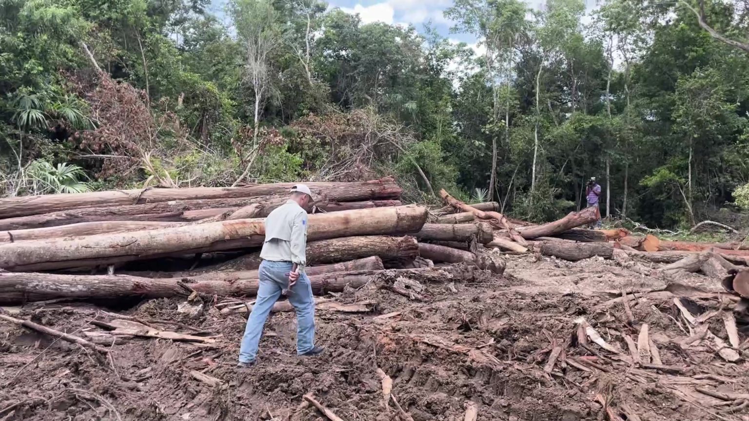 Boston Village Fights Back Against Illegal Logging | Greater Belize Media