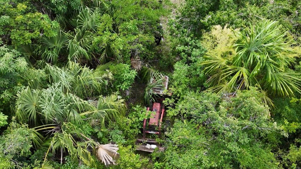 Boston Village Fights Back Against Illegal Logging | Greater Belize Media