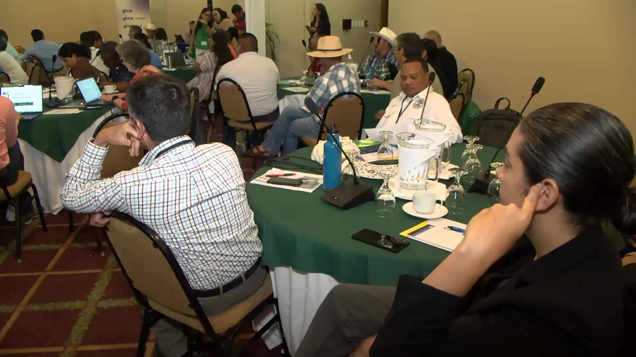 Belize and Neighbors Push for Sustainable Livestock in Selva Maya ...