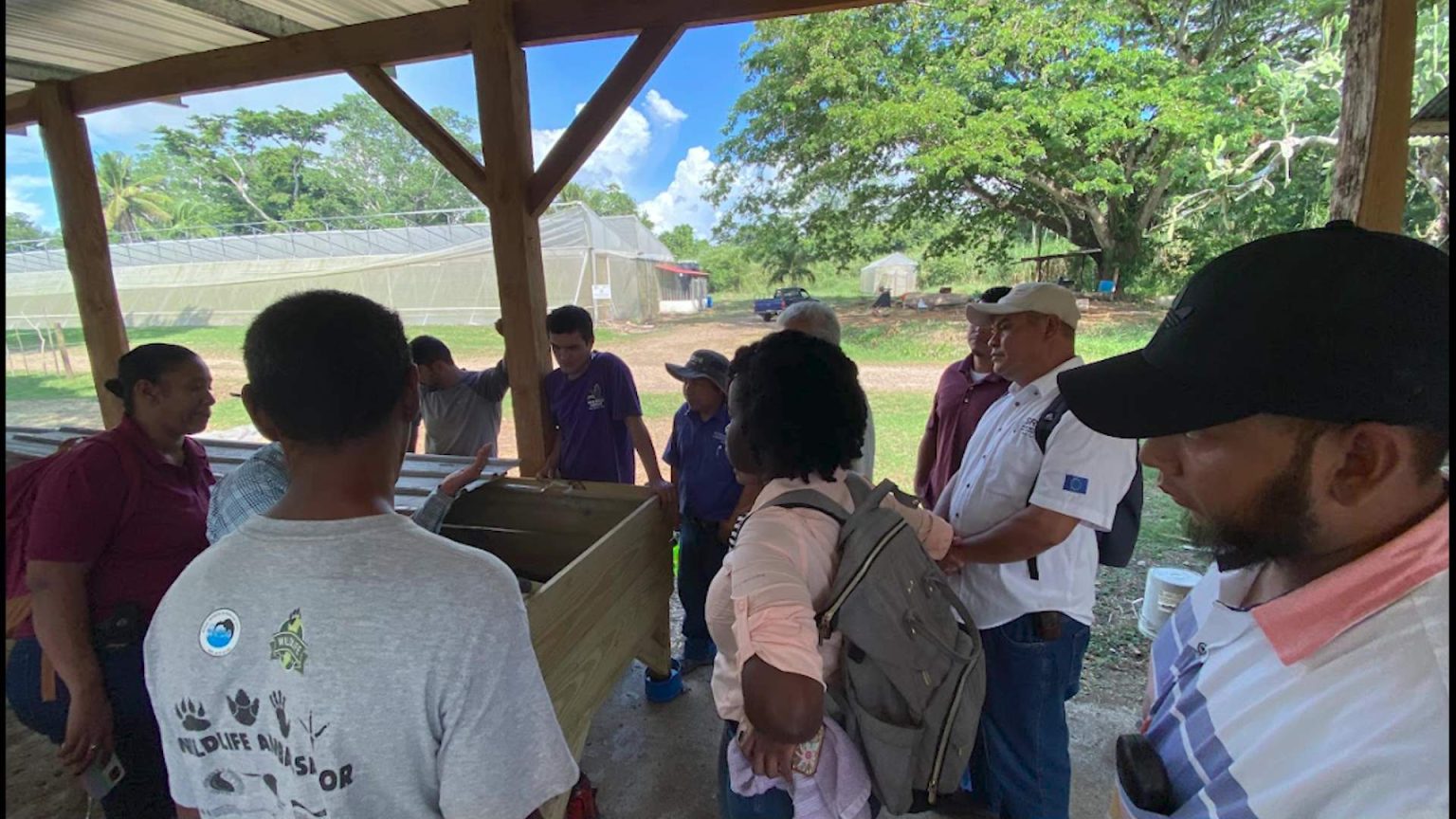 Belize and Neighbors Push for Sustainable Livestock in Selva Maya ...