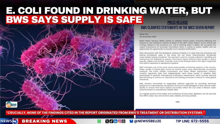 E. coli Found in Drinking Water, But BWS Says Supply Is Safe | Greater ...