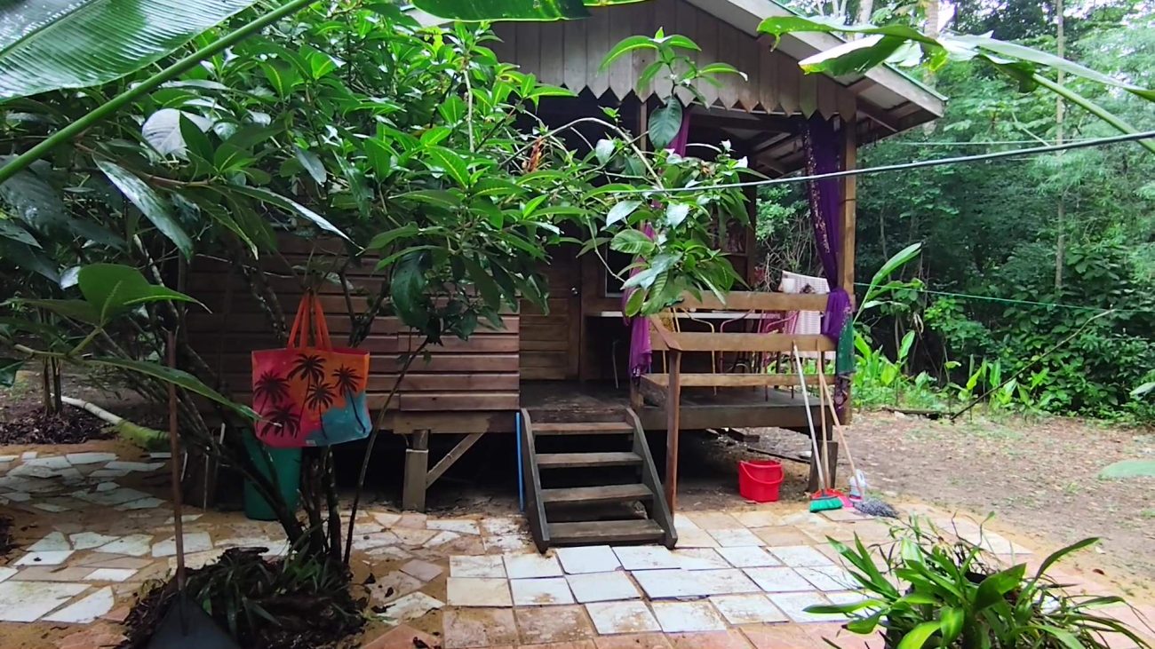 Elderly Businesswoman Stabbed to Death in Bullet Tree Falls