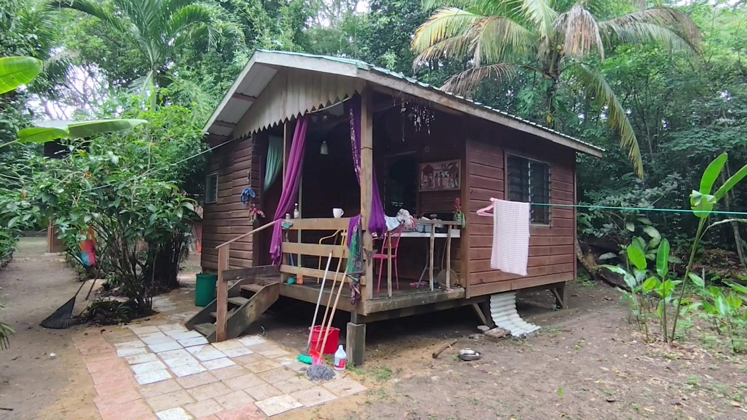 Elderly Businesswoman Stabbed to Death in Bullet Tree Falls