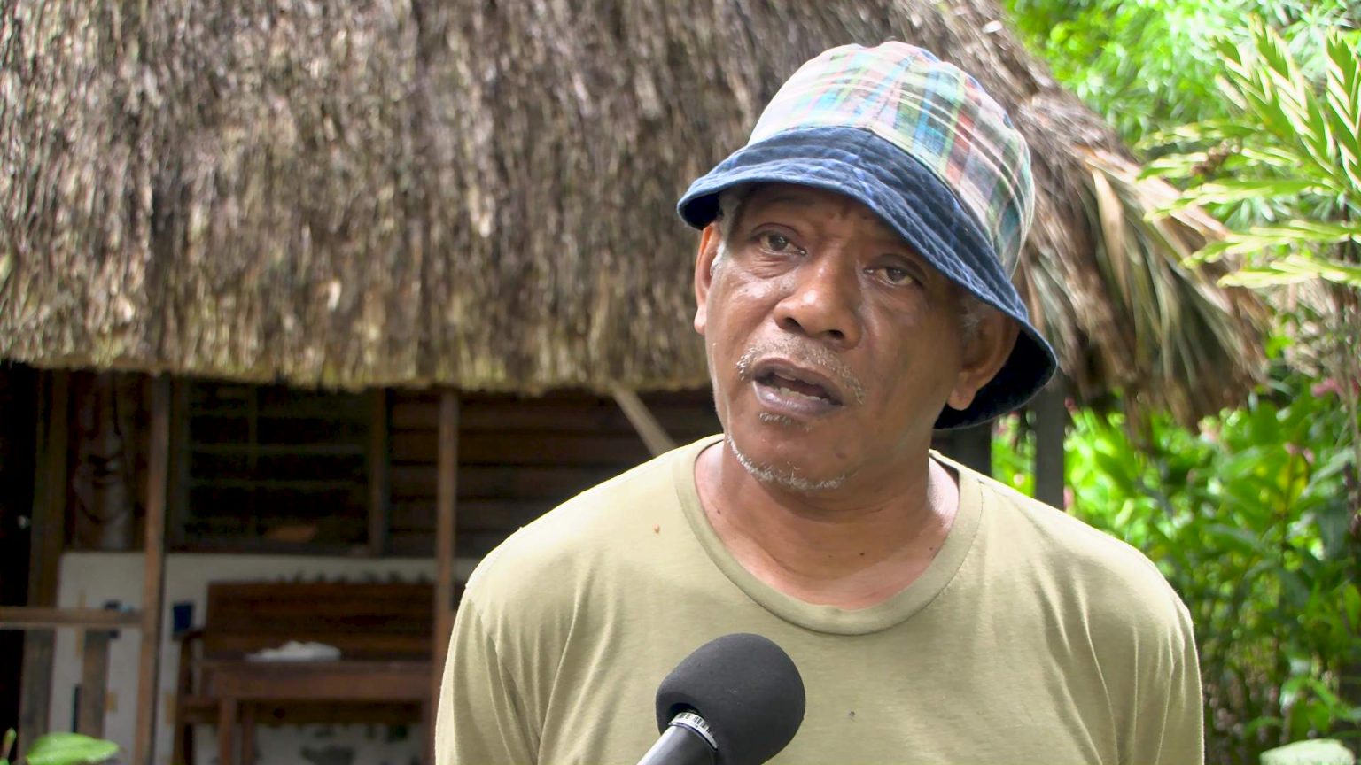 Elderly Businesswoman Stabbed to Death in Bullet Tree Falls