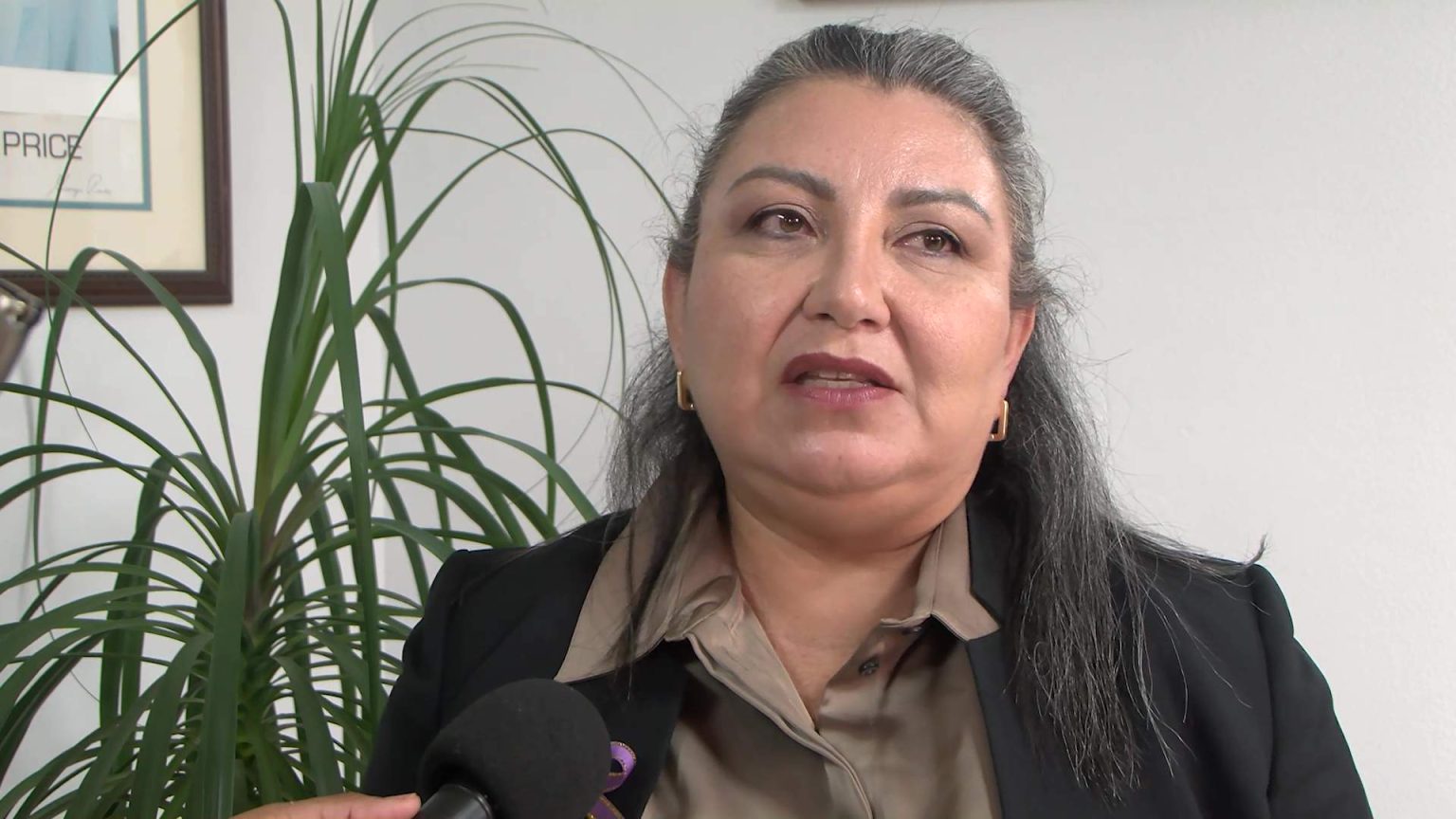 Belize and Mexico Meet to Boost Cross-Border Cooperation | Greater ...