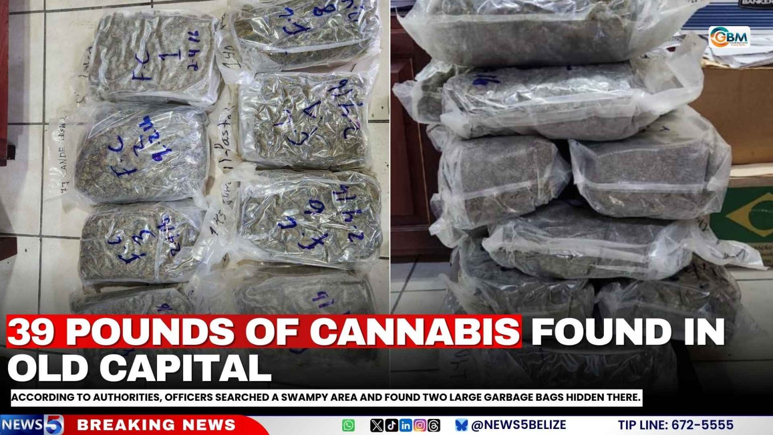 39 Pounds of Cannabis Found in Old Capital | Greater Belize Media