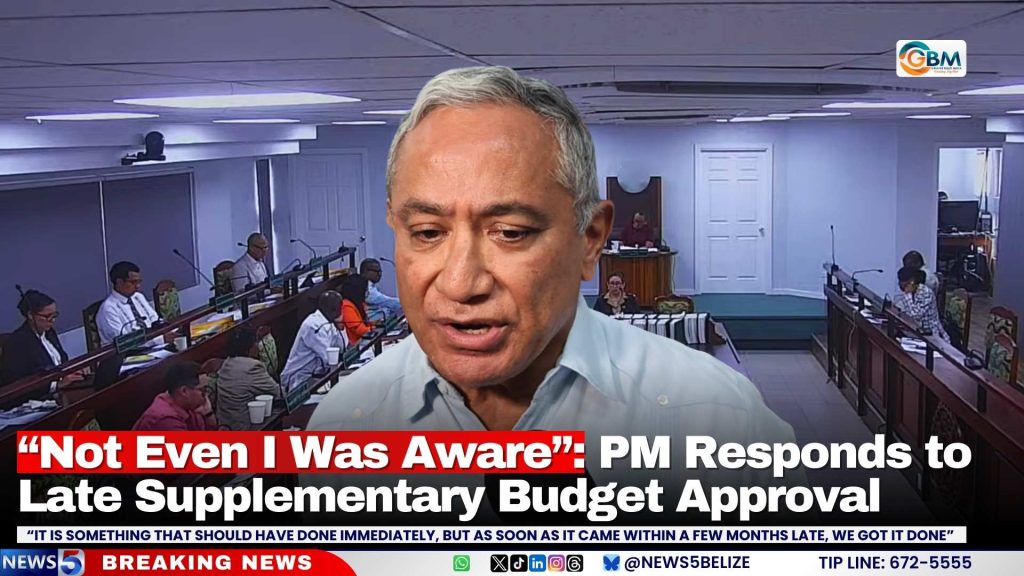 “Not Even I Was Aware”: PM Responds to Late Supplementary Budget ...
