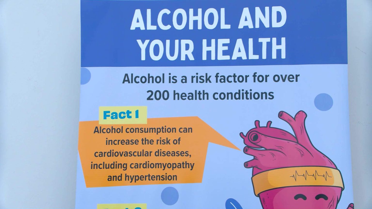 Belize Among Top Alcohol Consumers in the Americas | Greater Belize Media