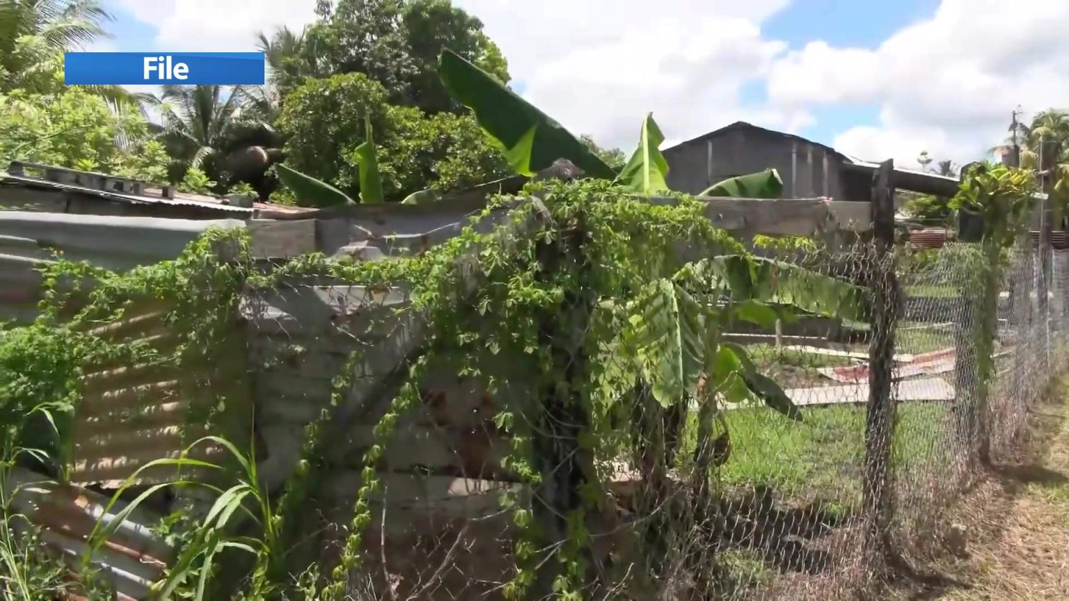Bella Vista’s Deadly Shift from Quiet Streets to Crime Scenes | Greater ...