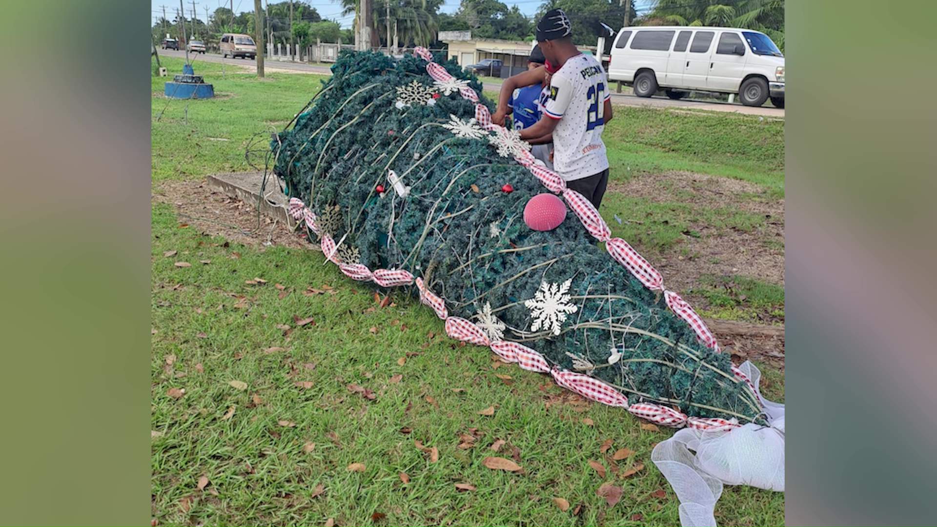 Who Tore Down Calcutta’s Christmas Tree? | Greater Belize Media