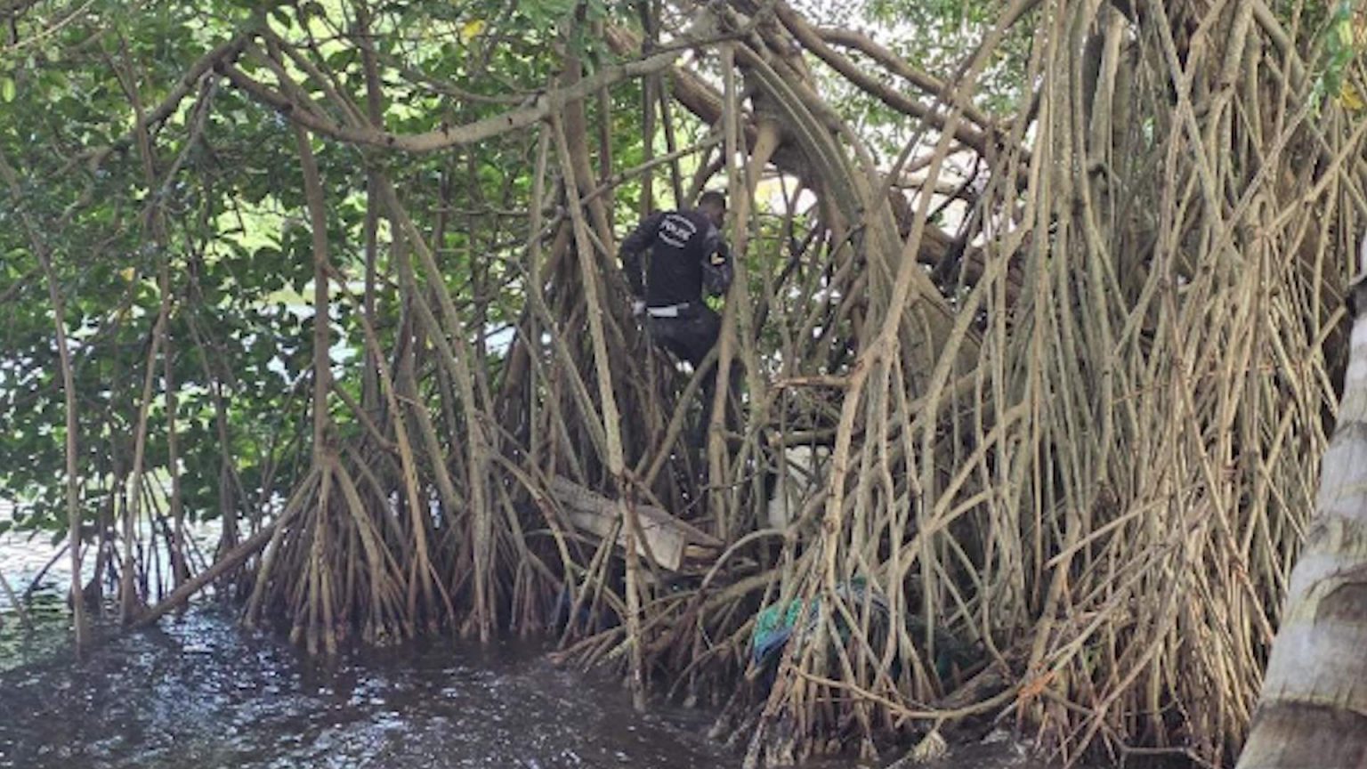 Major Gun and Drug Bust Caps Record Year for Police | Greater Belize Media