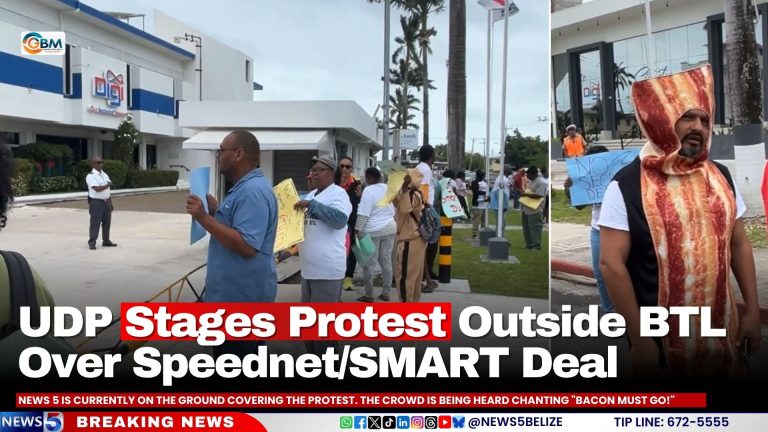 UDP Stages Protest Outside BTL Over Speednet/SMART Deal