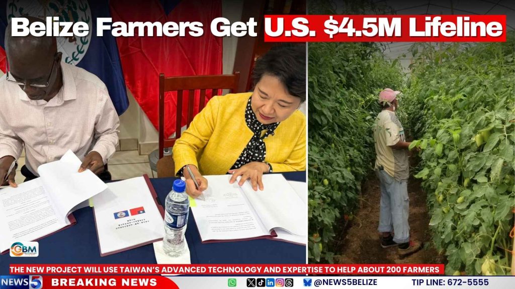Belize Farmers Get U.S. $4.5M Lifeline | Greater Belize Media