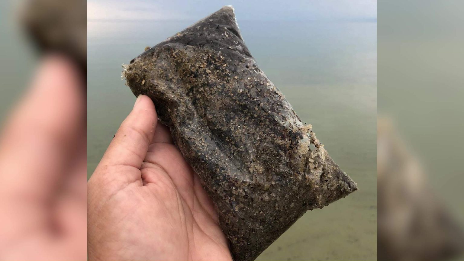 Plastic Bottles and Bags Leading Pollution Across Belize | Greater ...