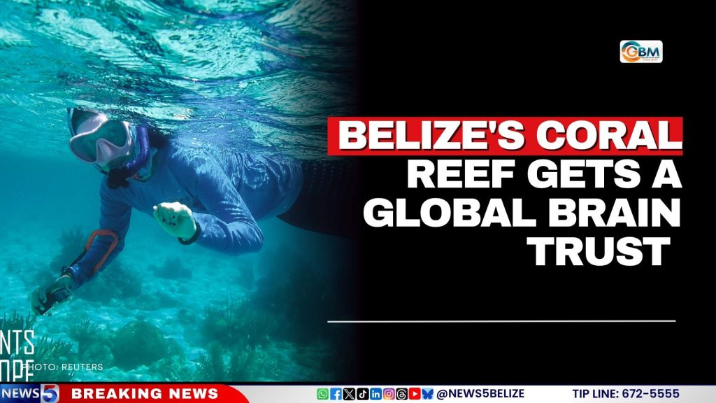 Belize’s Coral Reef Gets a Global Brain Trust | Greater Belize Media