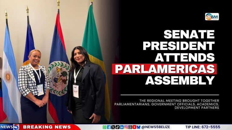 Senate President Attends ParlAmericas Assembly | Greater Belize Media
