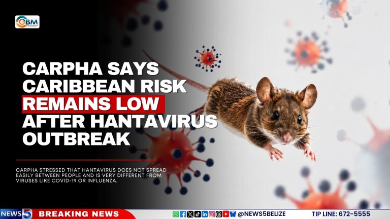 CARPHA Says Caribbean Risk Remains Low After Hantavirus Outbreak ...
