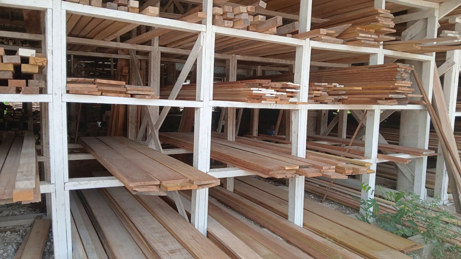 Hardwood Shortage Disrupts Belize Construction Sector
